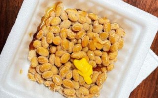 怎样做纳豆视频_纳豆发酵失败怎么办