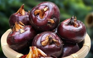 马蹄荸荠怎么去皮_马蹄荸荠和荸荠区别