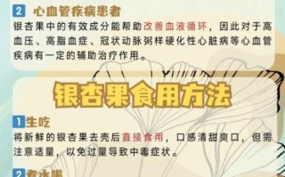 银杏果的功效与作用_银杏果怎么吃最健康