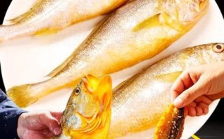 黄鱼视频国产怎么下载_黄鱼视频国产安全吗