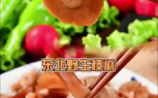 东北榛蘑怎么泡发_榛蘑炖鸡的做法窍门