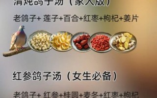 乳鸽汤怎么做_乳鸽汤需要什么材料
