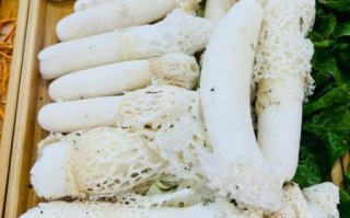 竹荪图片大全大图_竹荪长什么样