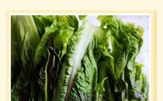 莴苣叶子吃了会拉肚子吗_莴苣叶子有哪些害处