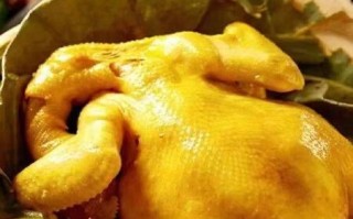 洪七公叫花鸡加盟费多少_加盟条件有哪些