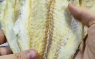 烤鱼片的功效与作用_孕妇能吃吗