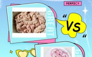 猪小肠是哪个部位_猪小肠是猪的什么器官