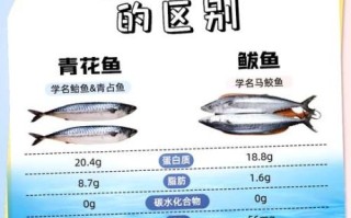 青鱼图片_鲭鱼区别是什么