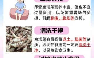 宝塔菜的营养价值_宝塔菜怎么吃最健康