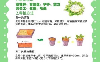 花椰菜花叶病毒传播途径_花椰菜花叶病毒防治方法