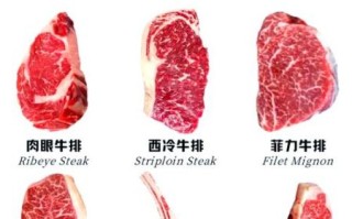 牛排部位怎么选_西冷和菲力哪个更好吃