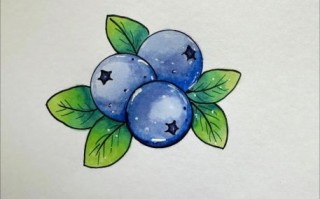 蓝莓图片大全大图卡通_如何画可爱蓝莓