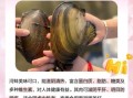 河蚌能吃吗_河蚌怎么吃才安全