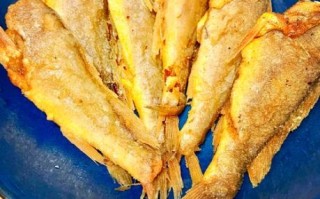油炸小黄鱼是什么鱼_油炸小黄鱼用哪种鱼最好