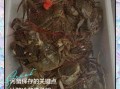 活螃蟹放冰箱冷藏会死吗_冷藏螃蟹能活多久