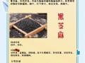 吃黑芝麻的好处有哪些_黑芝麻的功效与作用