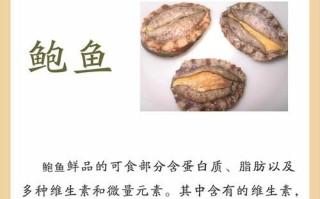 鲍鱼的功效与作用及营养禁忌_什么人不能吃鲍鱼