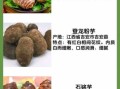 芋头品种有哪些_芋头品种图片说明