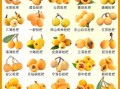 枇杷果什么季节成熟_枇杷几月份采摘最好