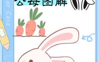 兔子怎么分公母_幼兔公母辨别方法