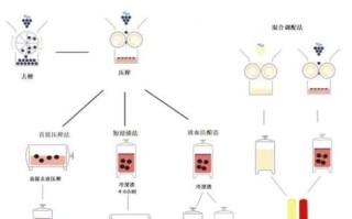 葡萄酒是怎么酿的_自酿葡萄酒需要哪些步骤
