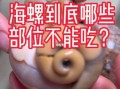 海螺哪些部位不能吃_海螺内脏怎么分辨
