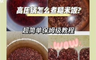 糙米直接蒸米饭可以吗_糙米蒸饭正确方法