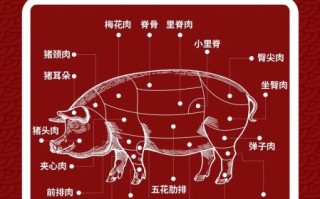 里脊肉是哪个部位_里脊肉为什么嫩