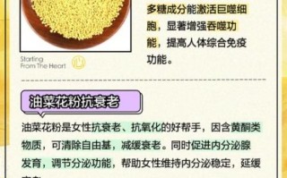 长期吃油菜花粉的危害_有哪些副作用