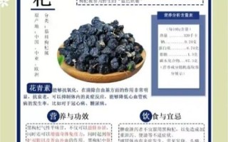 枸杞泡茶有什么功效_枸杞泡茶的作用与禁忌