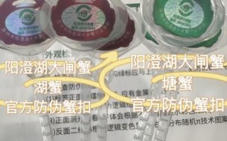 阳澄湖大闸蟹都是假的_如何辨别真假