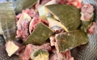 野生甲鱼怎么杀_野生甲鱼的做法大全