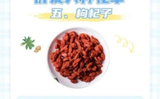 新鲜枸杞子的功效与作用_怎么吃效果最好