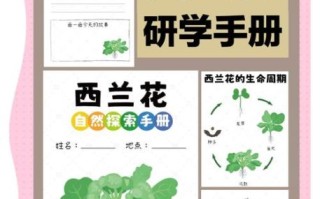 西兰花怎么种_西兰花种植时间和方法