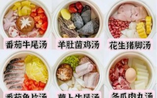 家常汤的做法大全_什么汤好喝又简单