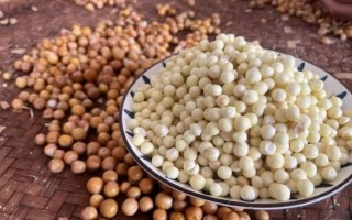 苏州鸡头米多少钱一斤_正宗鸡头米价格行情