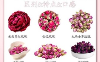玫瑰花茶怎么制作_玫瑰花茶的功效与禁忌