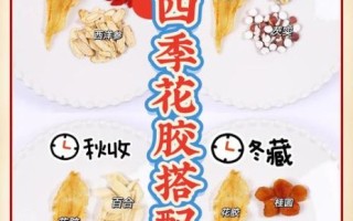 鱼胶怎么吃养胃效果最好_养胃鱼胶做法