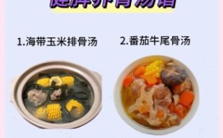 养胃汤有哪些_养胃汤怎么选