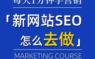 怎么提升网站排名_网站SEO优化怎么做