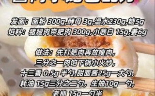 酱肉怎么做_酱肉腌制配方视频