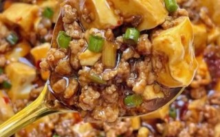 家常肉焖豆腐怎么做_肉焖豆腐用哪种豆腐最好