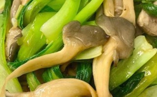 平菇油菜怎么炒好吃_家常做法窍门