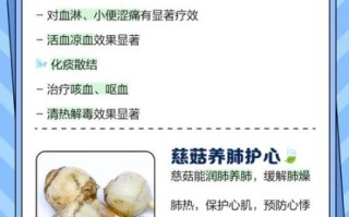 慈菇是什么_慈菇的功效与作用