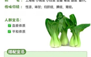 小油菜怎么种_小油菜的营养价值