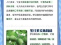 罗汉果的功效与作用有哪些_罗汉果主治什么病