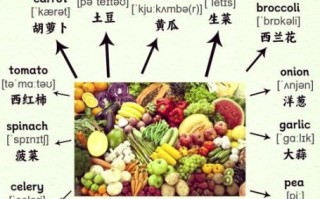what_are_the_english_names_of_common_vegetables