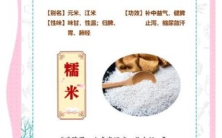 糯米的功效与作用_糯米的副作用有哪些