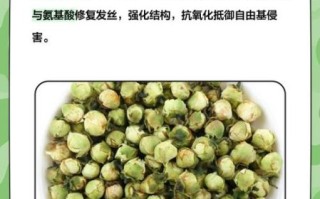 雪莲花茶的功效与作用_雪莲花茶怎么喝才有效