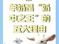 为什么中国不提倡喝羊奶_羊奶和牛奶哪个更适合中国人